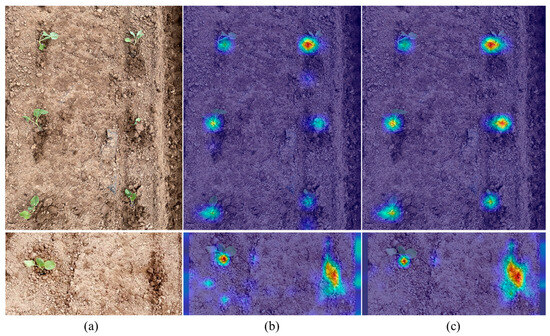 Agronomy | Free Full-Text | Seedling-YOLO: High-Efficiency Target ...