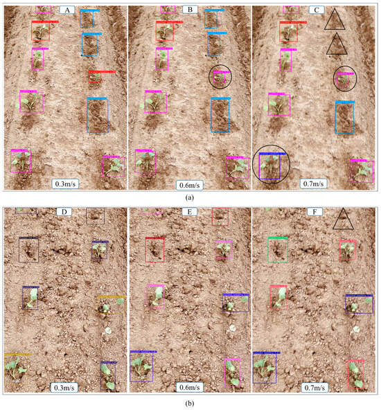 Agronomy | Free Full-Text | Seedling-YOLO: High-Efficiency Target Detection Algorithm for Field ...