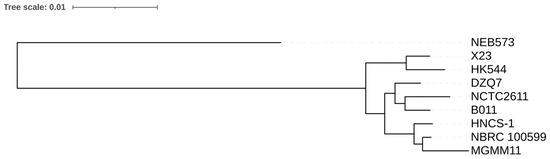 Pan-Genome Analysis and Secondary Metabolic Pathway Mining of ...