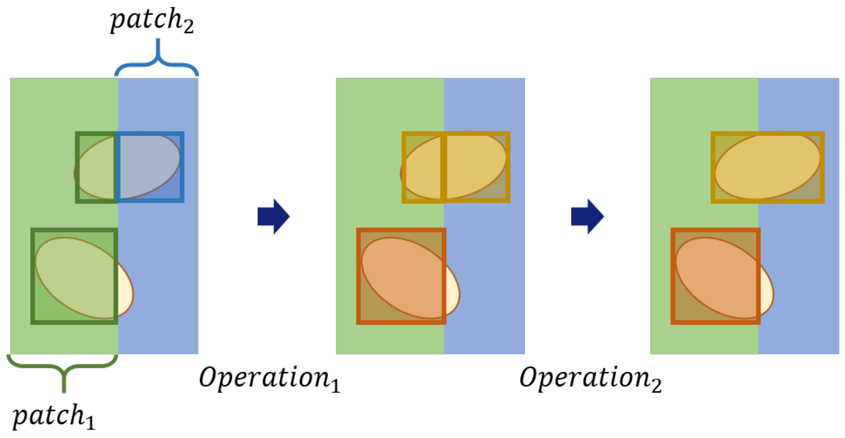 Agronomy | Free Full-Text | A Rapid Construction Method for High-Throughput Wheat Grain Instance ...