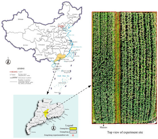 Multitemporal Field-Based Maize Plant Height Information Extraction and ...