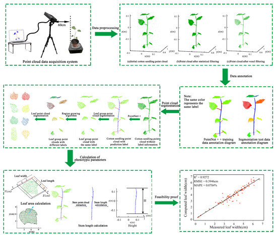 Organ Segmentation and Phenotypic Trait Extraction of Cotton Seedling ...