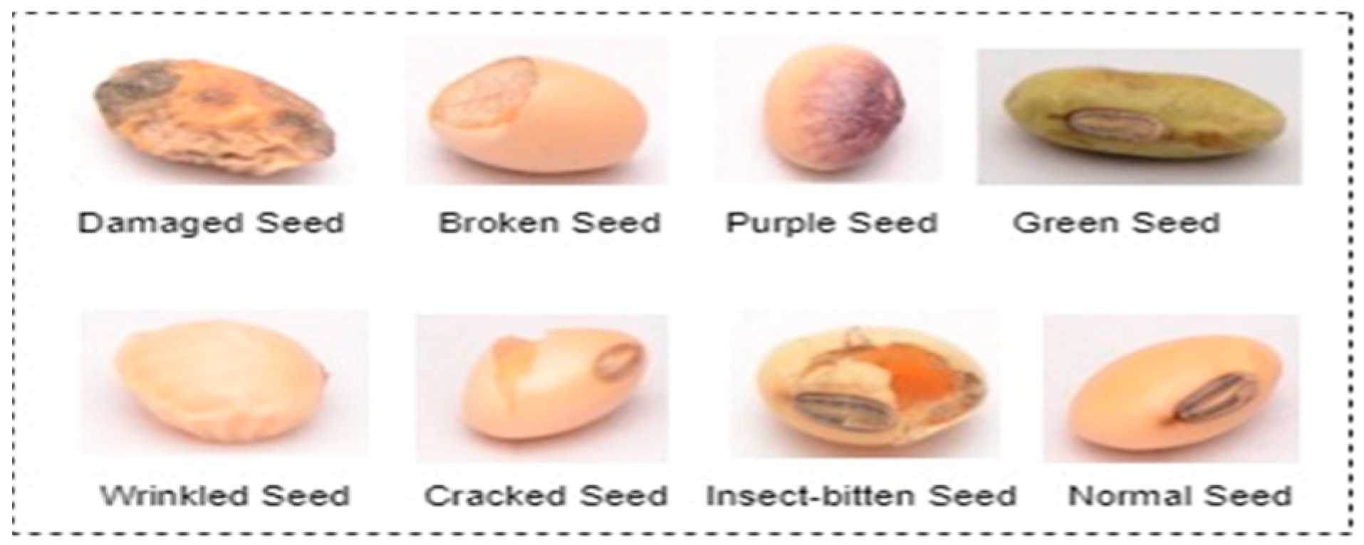 Agronomy | Free Full-Text | Quantifying Soybean Defects: A Computational Approach to Seed ...