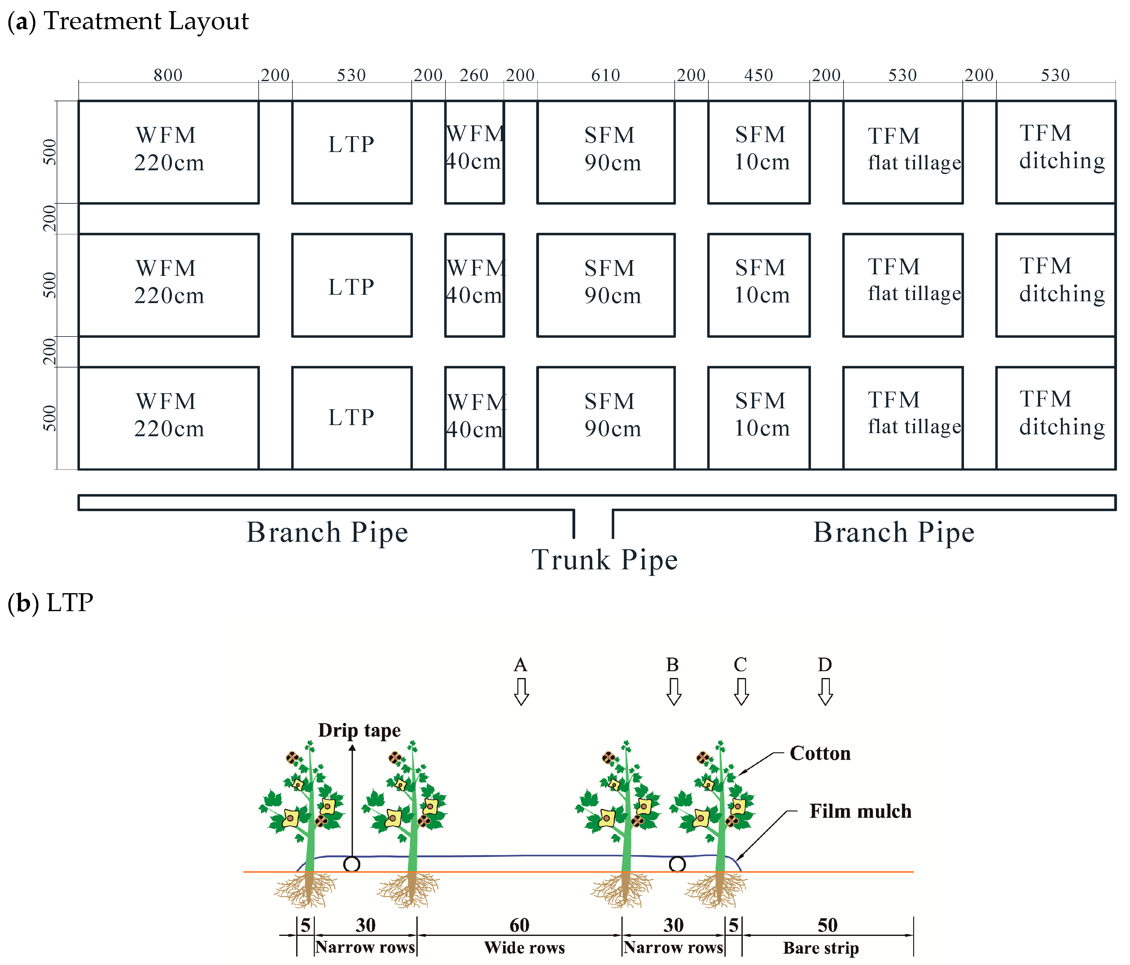 The Effects of Different Planting Patterns in Bare Strips on Soil Water ...
