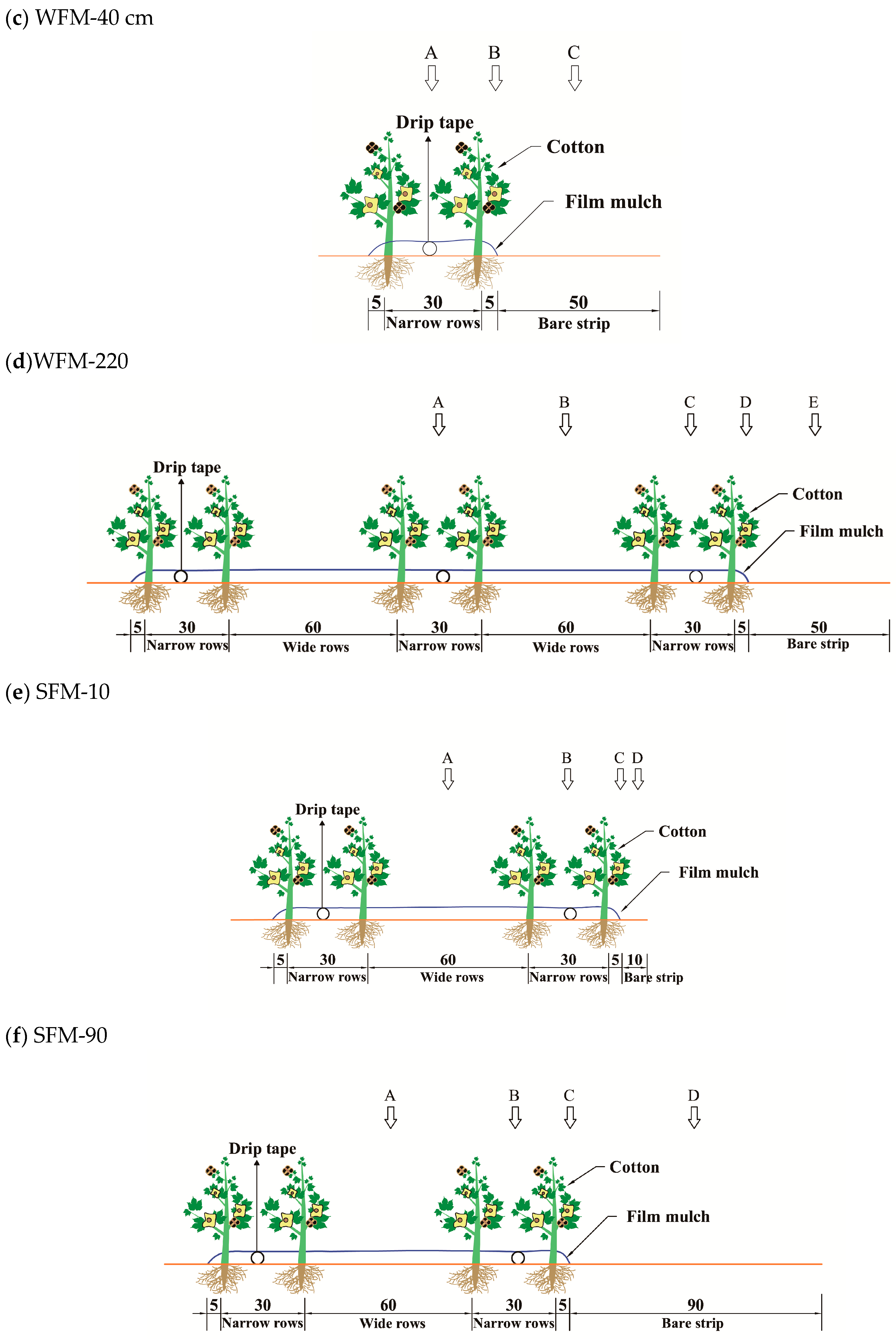 The Effects of Different Planting Patterns in Bare Strips on Soil Water ...