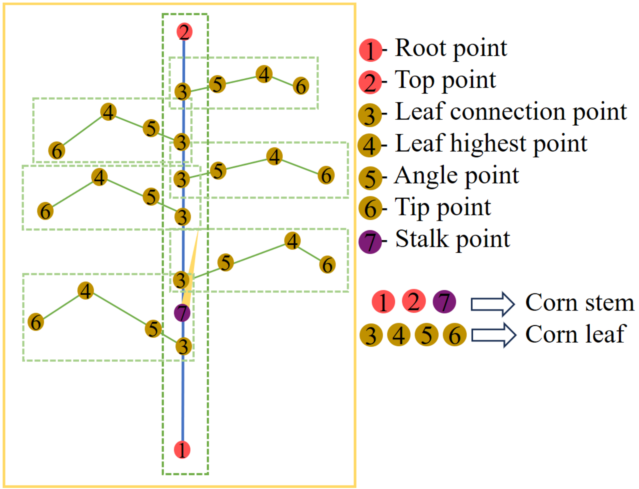 Extraction of Corn Plant Phenotypic Parameters with Keypoint Detection ...