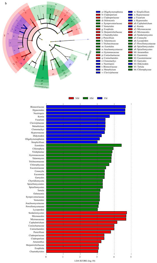 Effects of Film Mulching on Soil Microbial Diversity and Community ...