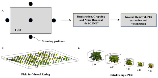 Soybean Canopy Stress Classification Using 3D Point Cloud Data