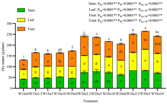 Foliar Application of Selenium Enhances Drought Tolerance in Tomatoes ...