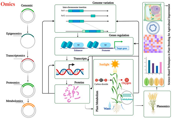 Genetic and Genomic Pathways to Improved Wheat (Triticum aestivum L ...