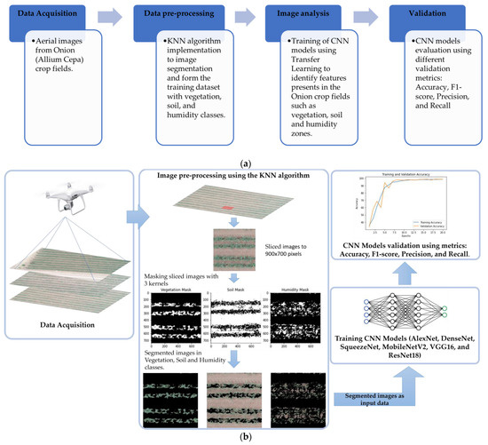 Pattern Classification of an Onion Crop (Allium Cepa) Field Using Convolutional Neural Network ...