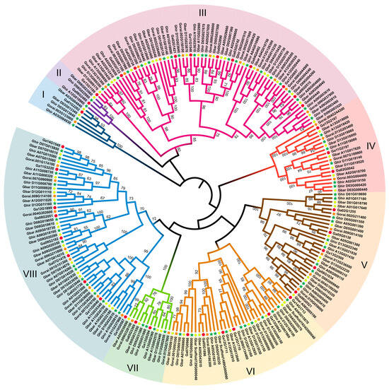Comprehensive Genome-Wide Investigation and Transcriptional Regulation ...