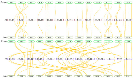 Comprehensive Genome-Wide Investigation and Transcriptional Regulation ...