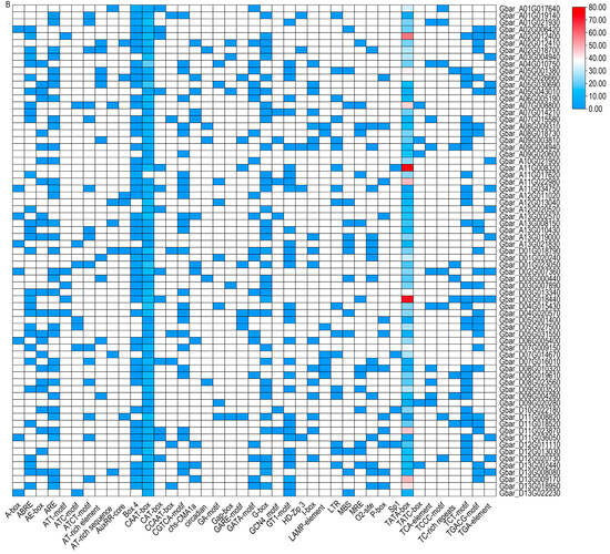 Comprehensive Genome-Wide Investigation and Transcriptional Regulation ...