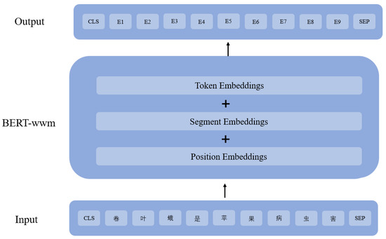 Based on BERT-wwm for Agricultural Named Entity Recognition
