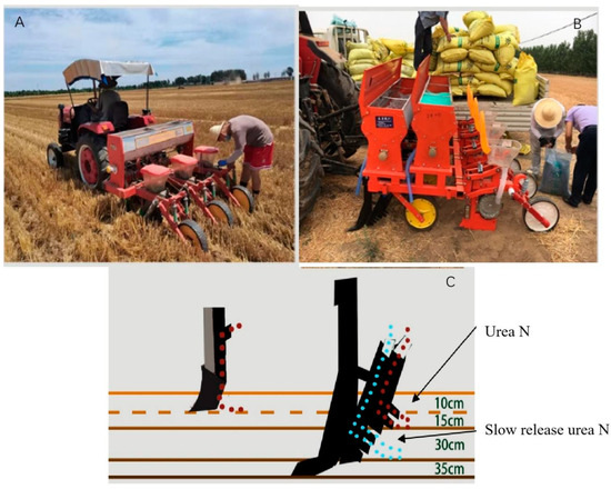 Subsoiling Combine with Layered Nitrogen Application Optimizes Root Distribution and Improve ...