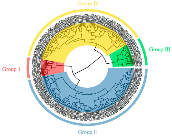 Comprehensive Evaluation of Apple Germplasm Genetic Diversity on the ...