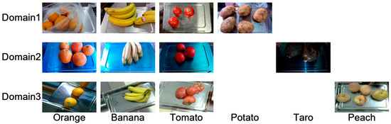 Efficient Adaptive Incremental Learning for Fruit and Vegetable Classification