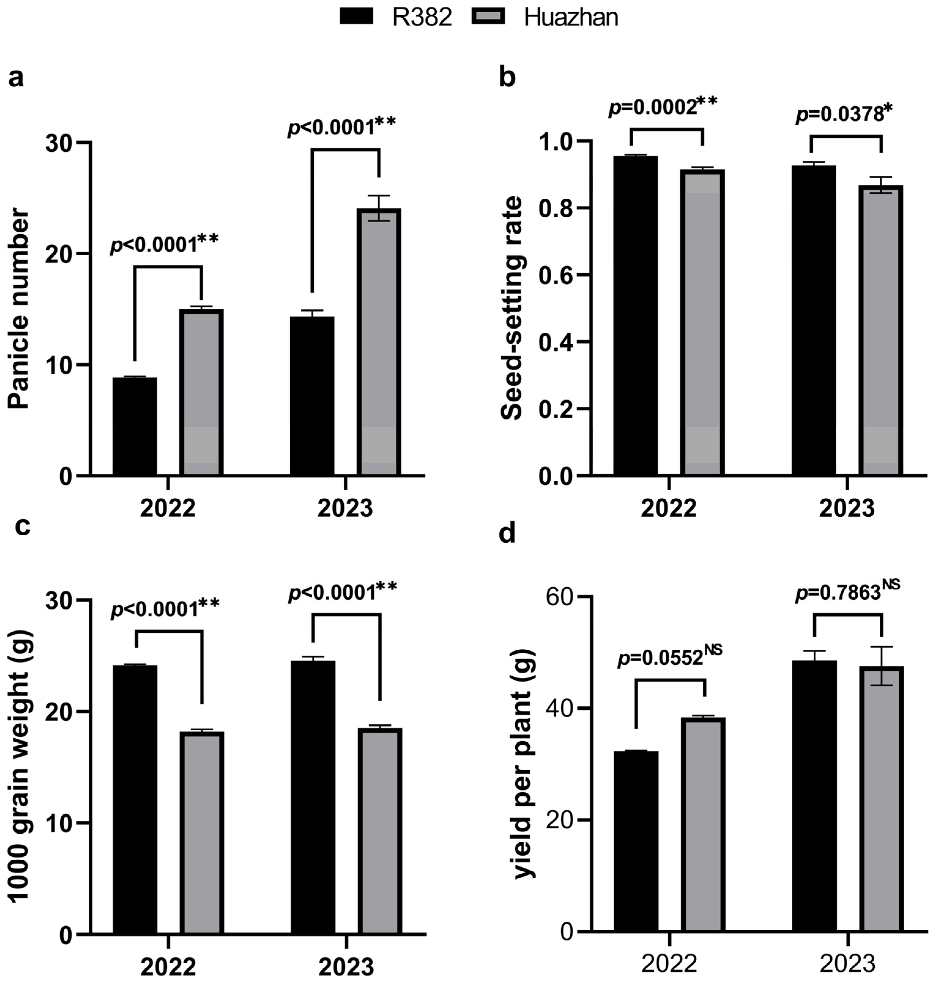 Characterization of an Excellent Hybrid Rice Restorer Line R382 with Enhanced Lodging Resistance