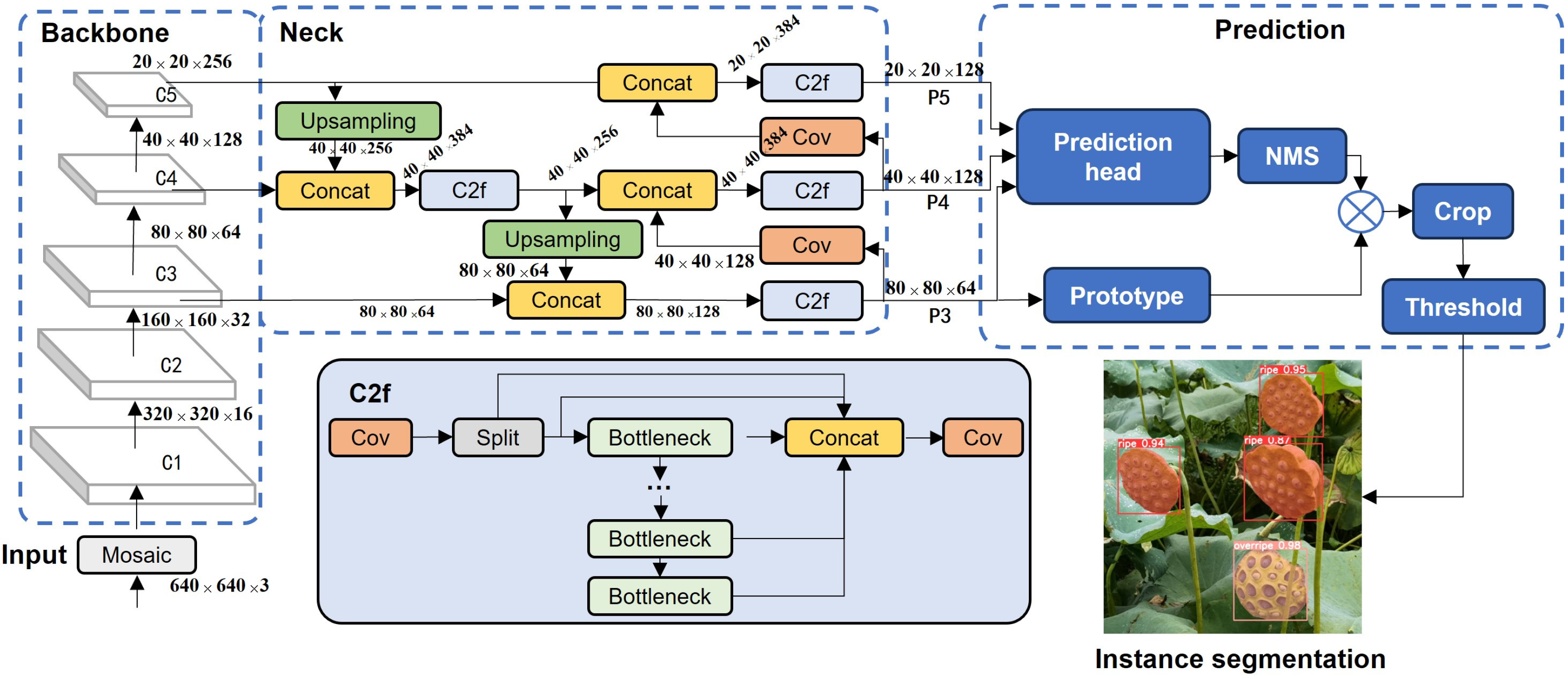 An Improved YOLOv8 Model for Lotus Seedpod Instance Segmentation in the Lotus Pond Environment