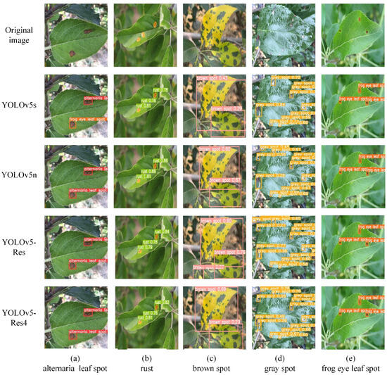 Highly Accurate and Lightweight Detection Model of Apple Leaf Diseases ...