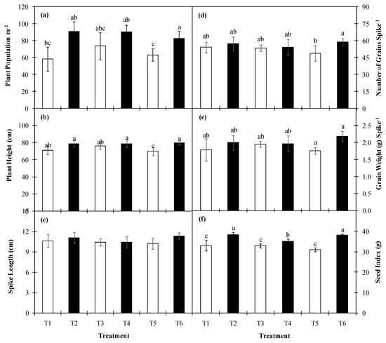 Effect of Raised Flat Bed and Ridge Planting on Wheat Crop Growth and ...