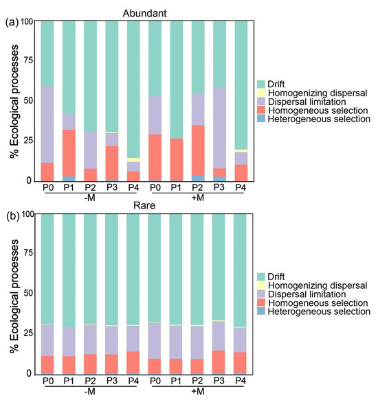 Agronomy | Free Full-Text | Responses of Rare and Abundant Bacterial Communities to Synergistic ...