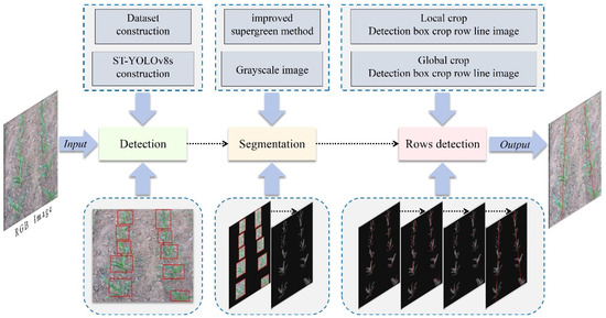 Agronomy | Free Full-Text | Algorithm for Corn Crop Row Recognition ...