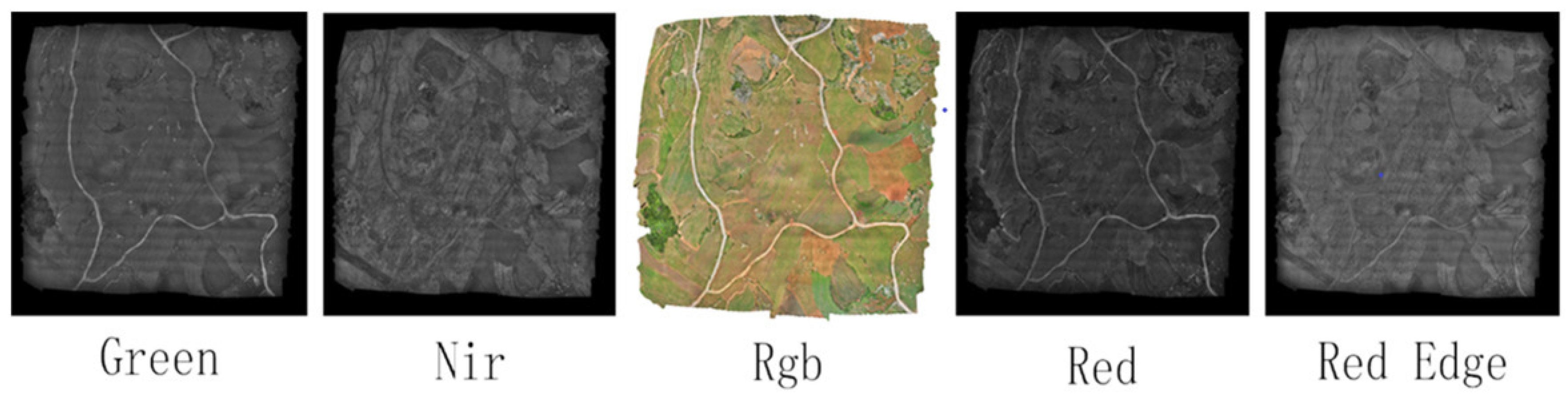 Research on Tobacco Field Semantic Segmentation Method Based on Multispectral Unmanned Aerial ...