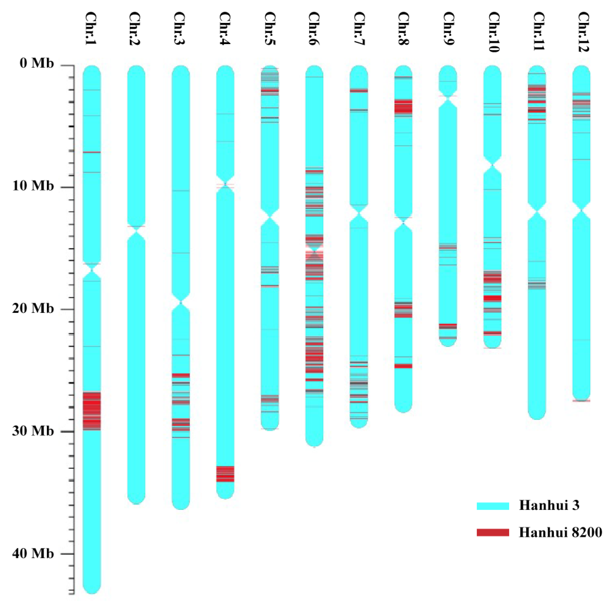 Molecular Marker-Assisted Selection of a New Water-Saving and Drought-Resistant Rice (WDR ...