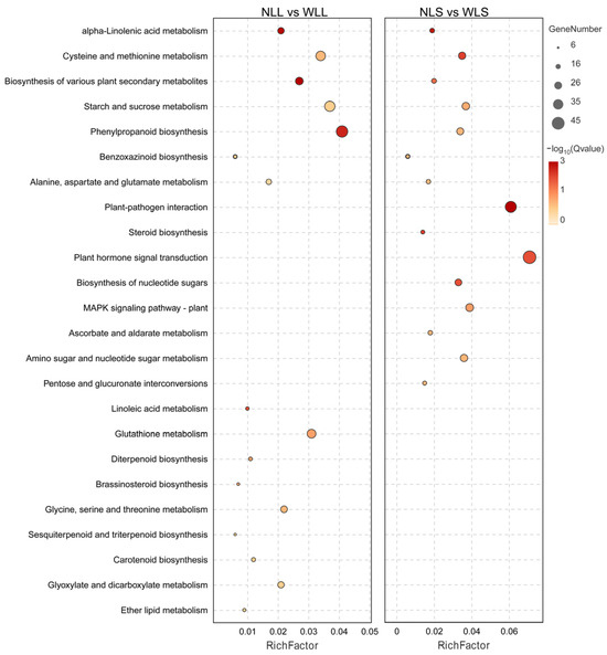 Transcriptomic Analysis of Maize Inbred Lines with Different Leaf ...