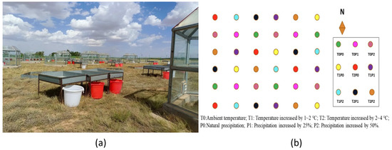 Effects of Warming and Increased Precipitation on Root Production and ...