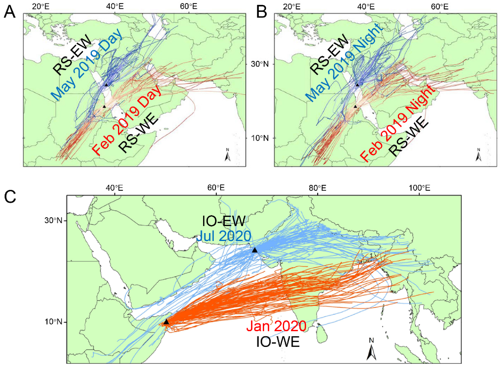 Intercontinental Migration Facilitates Continuous Occurrence of the ...