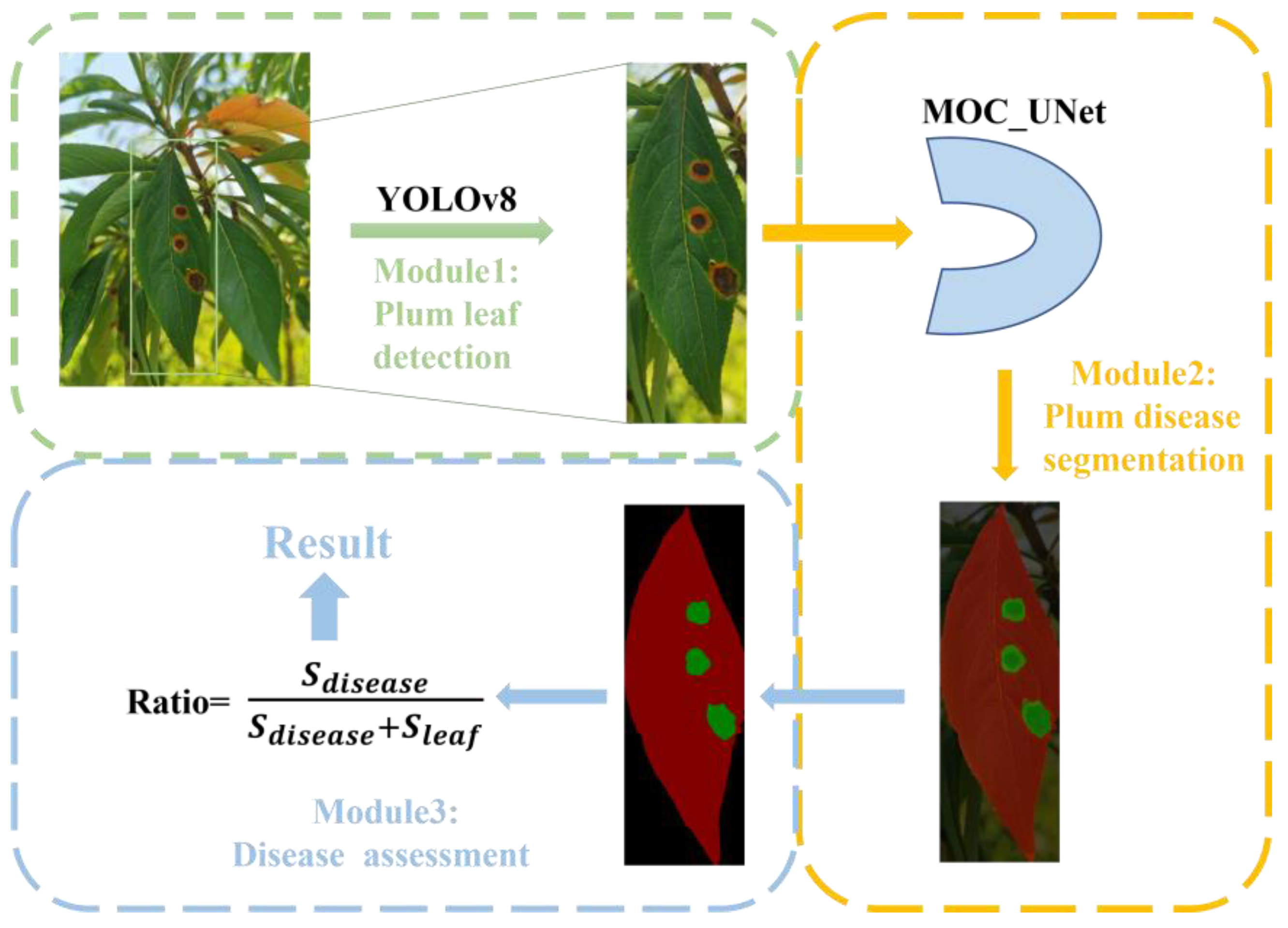 Two-Stage Detection Algorithm for Plum Leaf Disease and Severity Assessment Based on Deep Learning