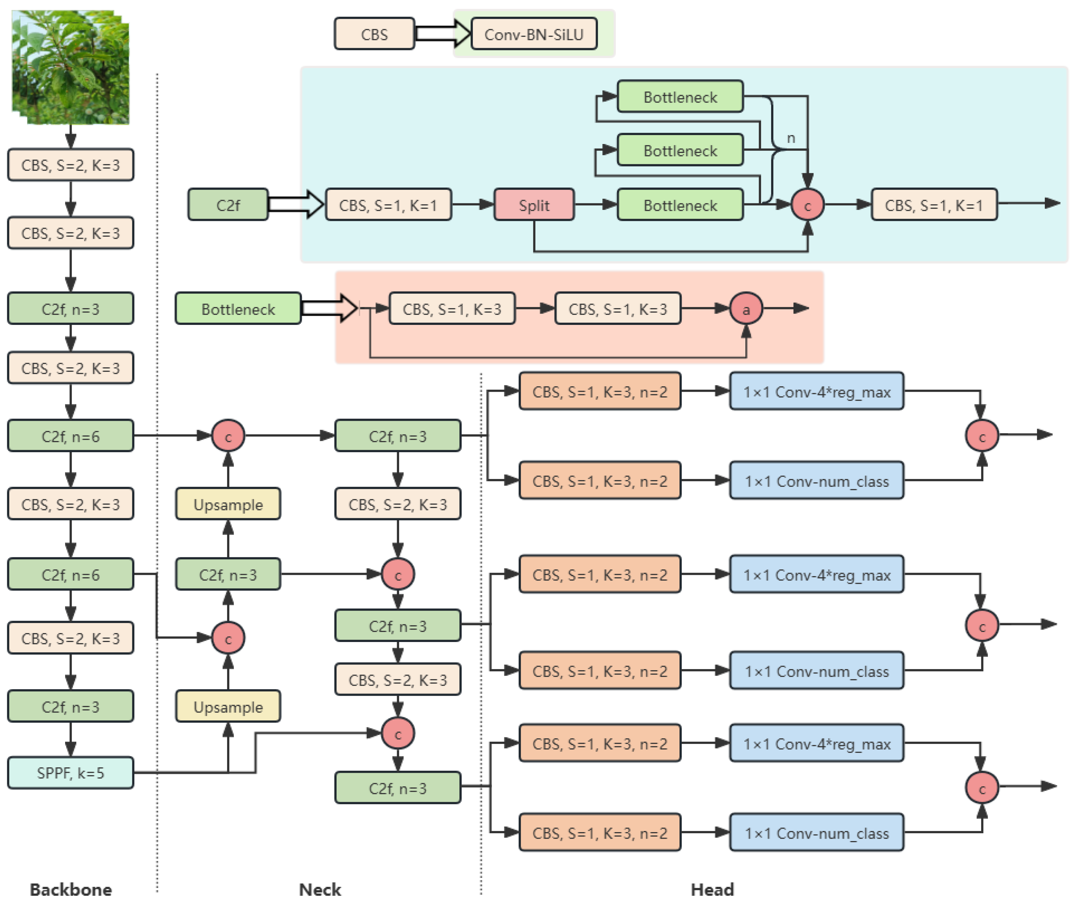 Two-Stage Detection Algorithm for Plum Leaf Disease and Severity Assessment Based on Deep Learning