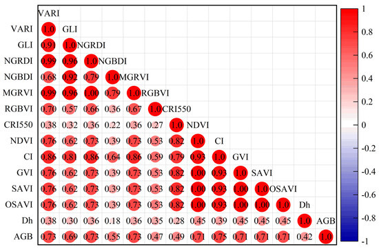 Research on Rapeseed Above-Ground Biomass Estimation Based on Spectral ...