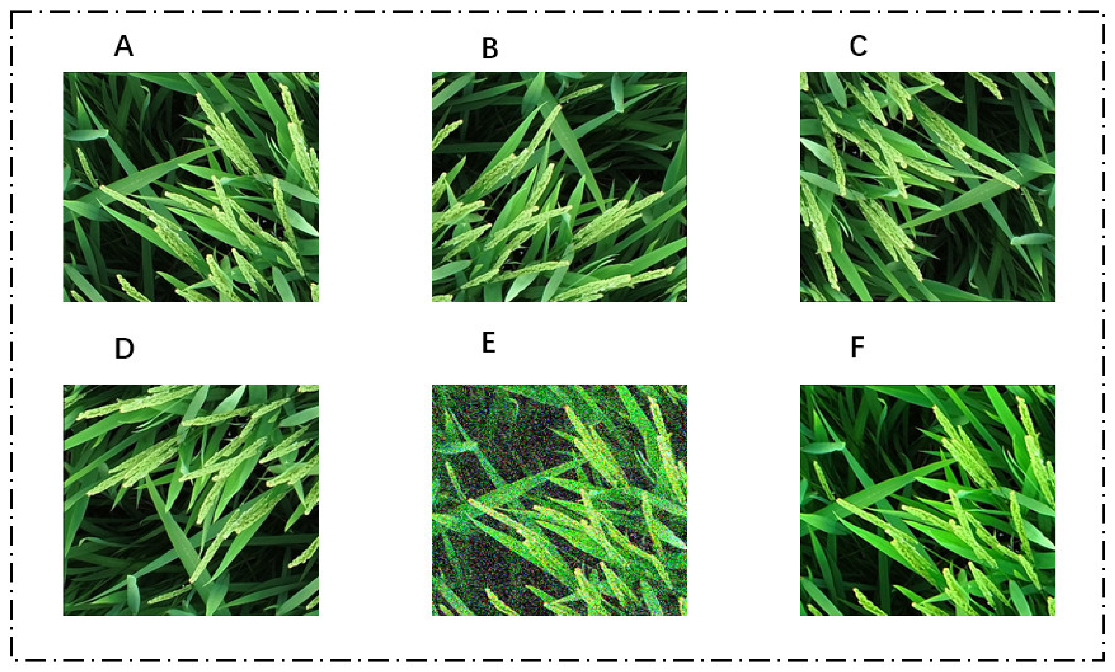 Agronomy | Free Full-Text | A Precise Plot-Level Rice Yield Prediction Method Based on Panicle ...
