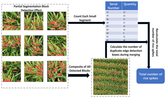 Agronomy | Free Full-Text | A Precise Plot-Level Rice Yield Prediction ...