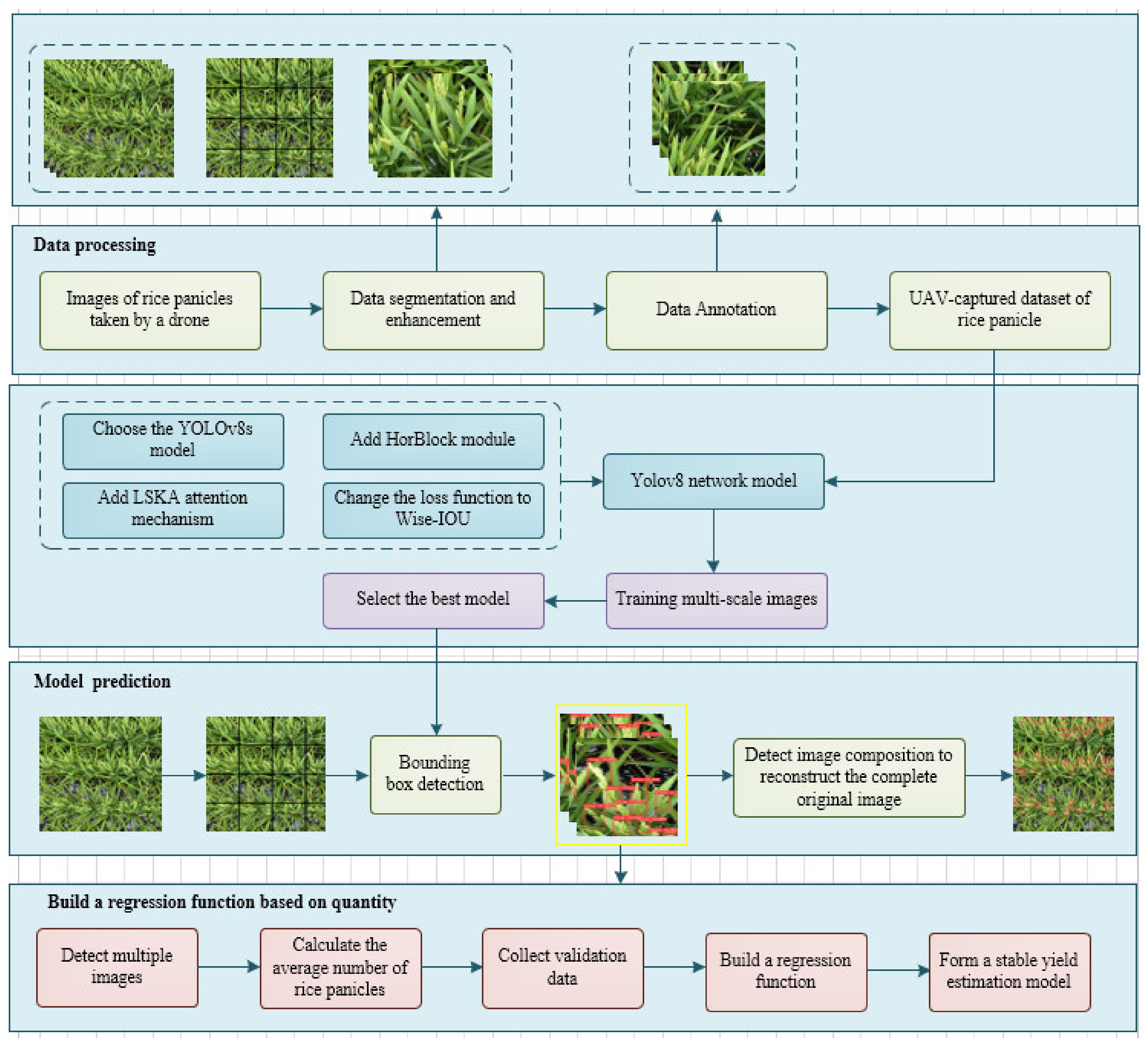 Agronomy | Free Full-Text | A Precise Plot-Level Rice Yield Prediction ...