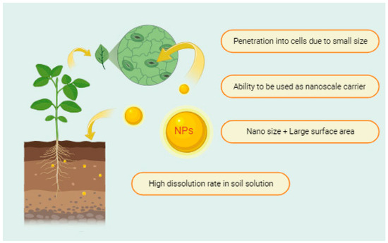 Fertilizers Based on Nanoparticles as Sources of Macro- and ...