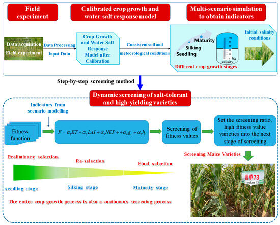 Agronomy | Free Full-Text | A Dynamic Process-Based Method for ...