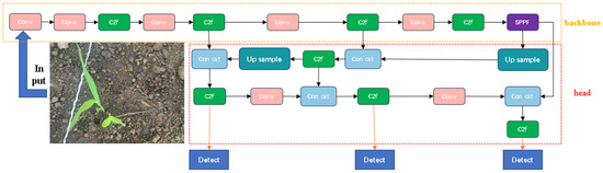Research on Weed Reverse Detection Methods Based on Improved You Only Look Once (YOLO) v8 ...