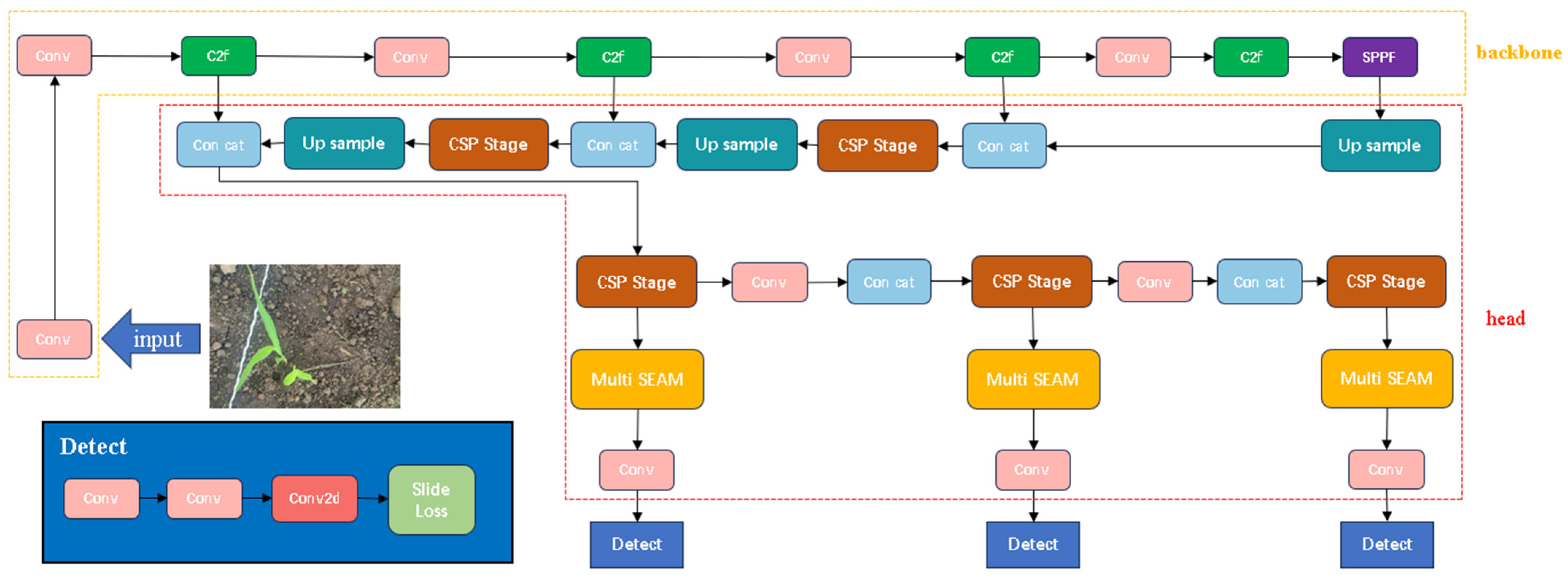 Research on Weed Reverse Detection Methods Based on Improved You Only ...