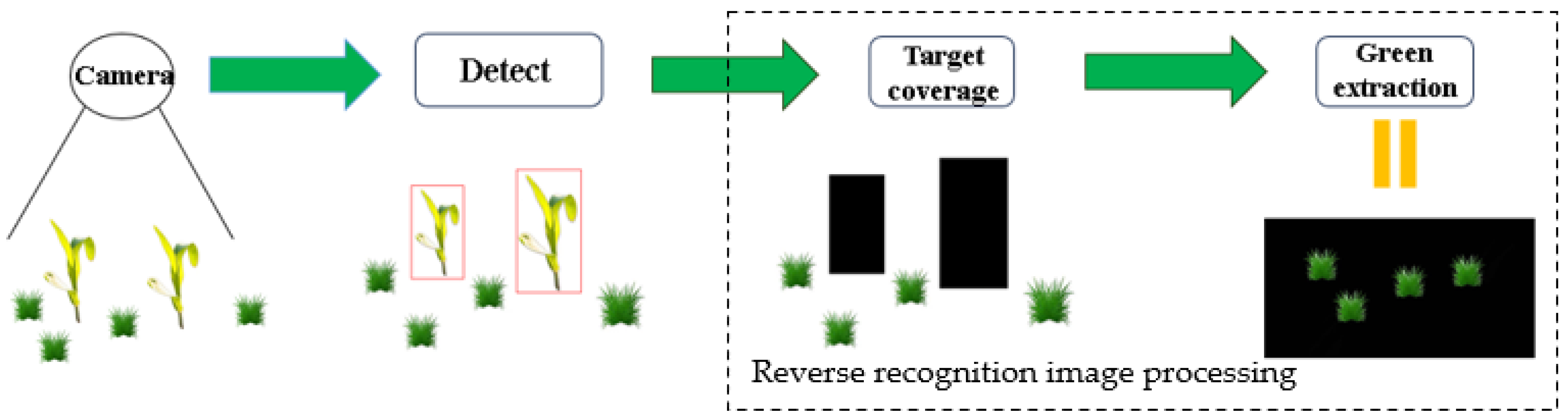 Research on Weed Reverse Detection Methods Based on Improved You Only ...
