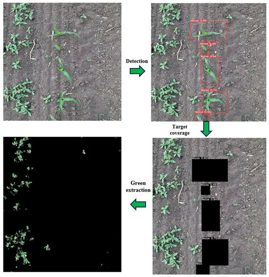 Research on Weed Reverse Detection Methods Based on Improved You Only ...