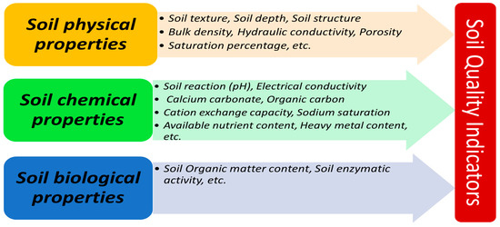 How Can Soil Quality Be Accurately and Quickly Studied? A Review
