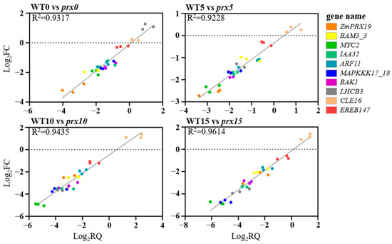 Comparative Transcriptomic Insights into the Mechanisms Underlying ...