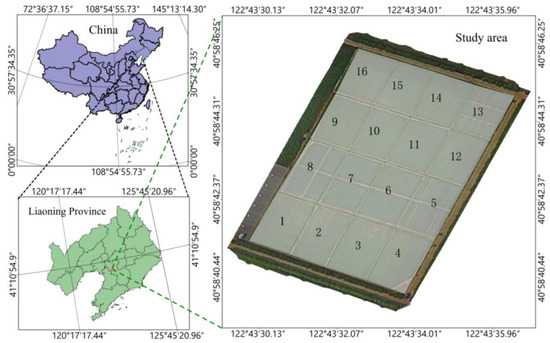 Intelligent Rice Field Weed Control in Precision Agriculture: From Weed ...