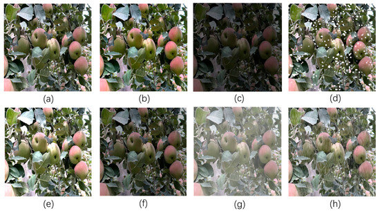 Rep-ViG-Apple: A CNN-GCN Hybrid Model for Apple Detection in Complex Orchard Environments
