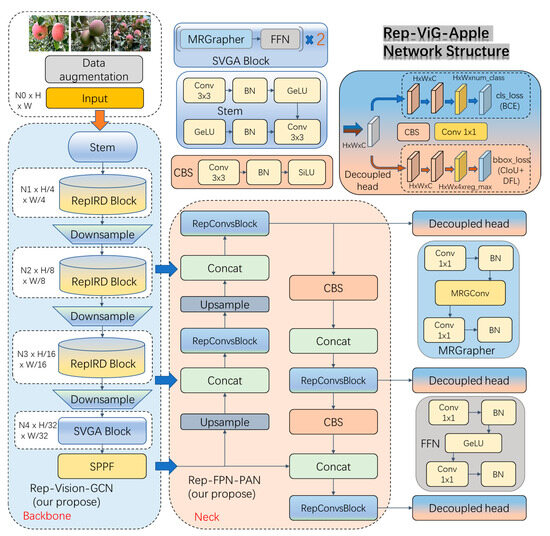 Rep-ViG-Apple: A CNN-GCN Hybrid Model for Apple Detection in Complex ...